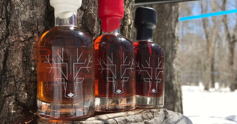 L’Érablière Escuminac au sommet de son art - EntreChefs PME